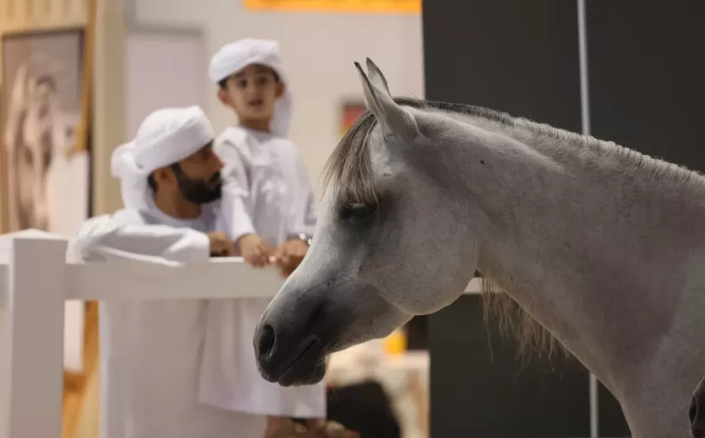 ADIHEX 2024 unveils exciting Hunting Tourism & Safari