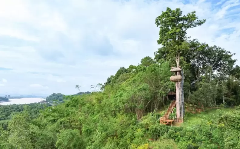 A Tree Top Dining Experience at Anantara Golden Triangle