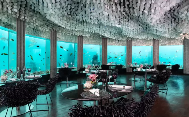 Subsix: Underwater Dining and Nikkei Tasting Menu