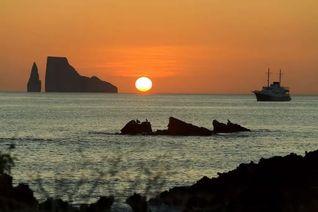 Three Adventure Cruises That Redefine Thrill at Sea