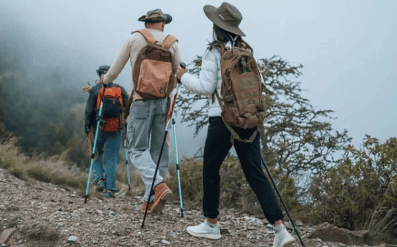 Summer in Aseer and Taif: Cool Weather and Fun