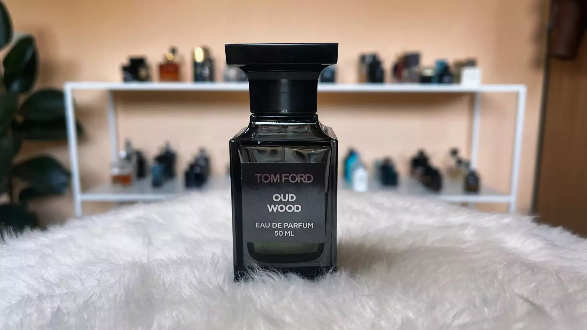 Smell Like Power The Best Woody Fragrances for Men 2025