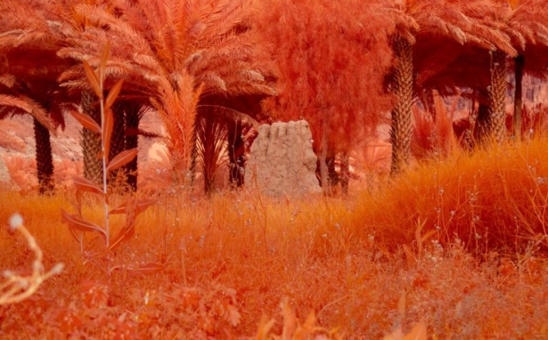 Desert X AlUla 2026: Monumental Art in Saudi Arabia