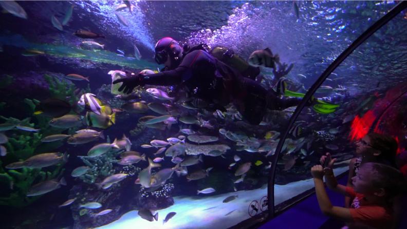 Antalya Theme Parks This Winter and Spring